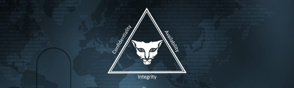 About - Black Cat Security